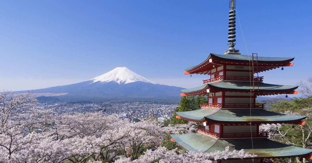 [Fuji Fruit Picking Day Trip to Mount Fuji] Arakurayama Sengen Park ...